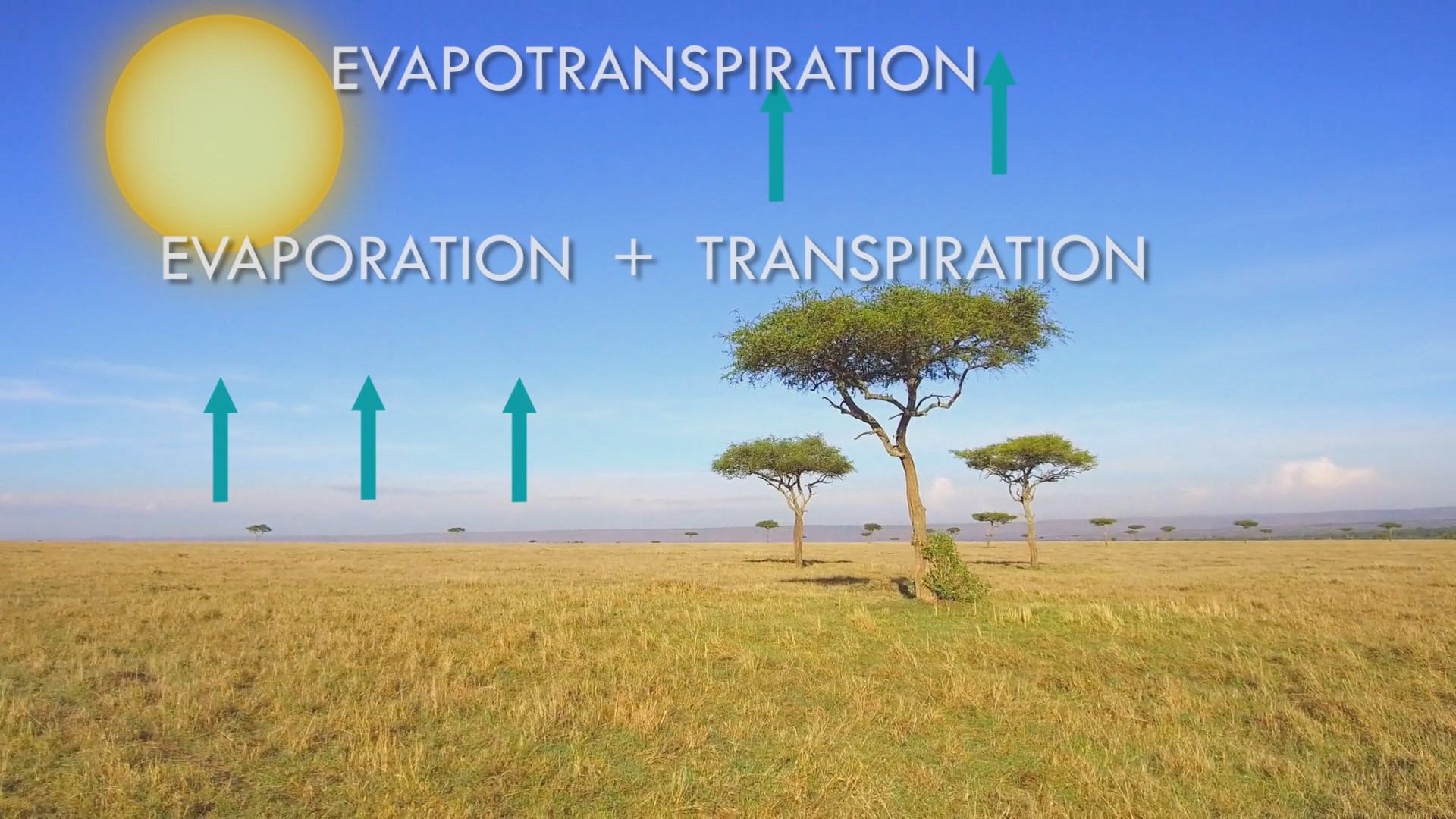 Biomes, introduction, the living landscapes of earth (0) - Geodiode