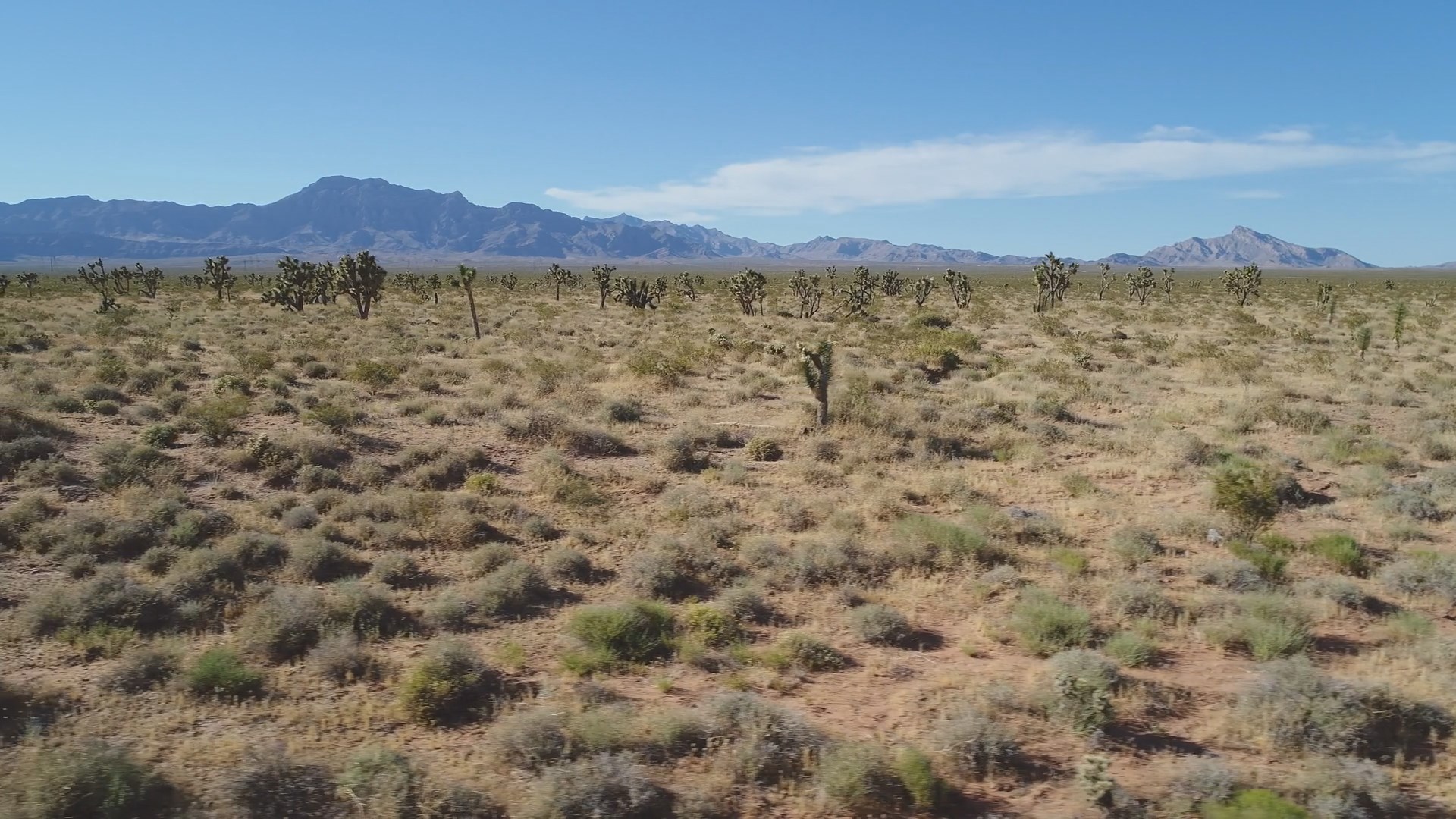 Biomes course Archives - Geodiode