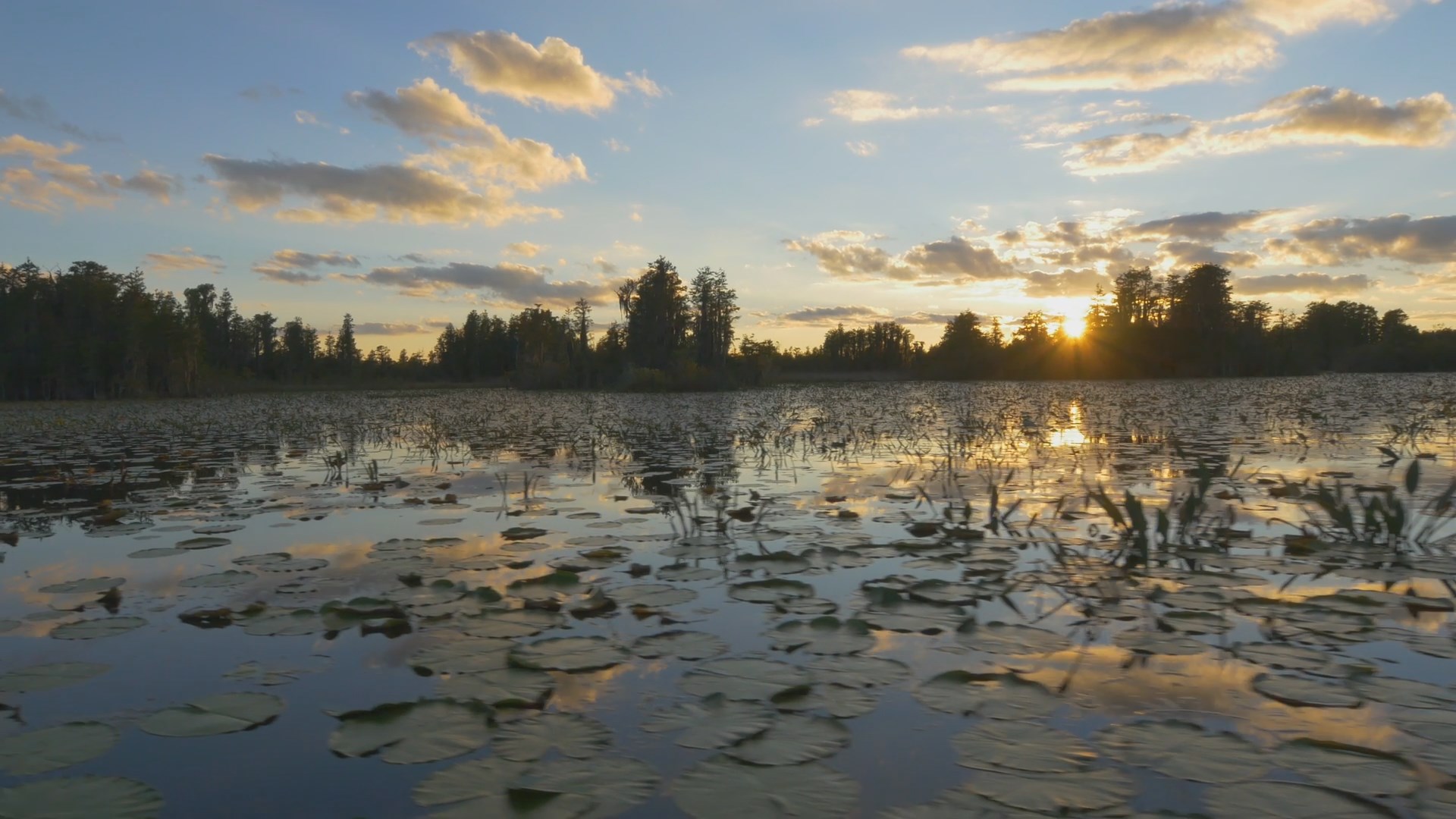 Humid Subtropical (5) – Geodiode