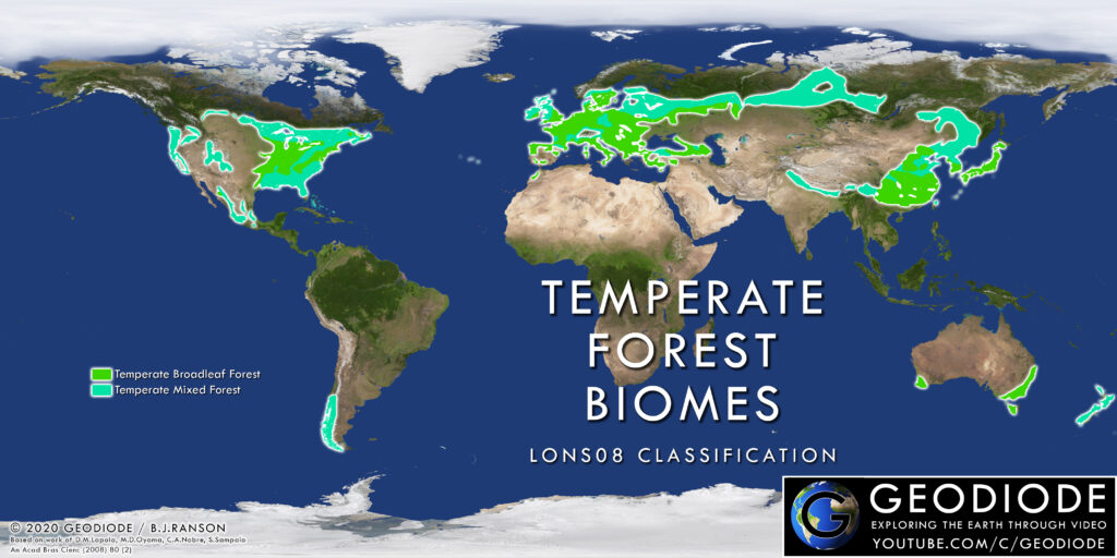 Temperate forests (6) – Geodiode