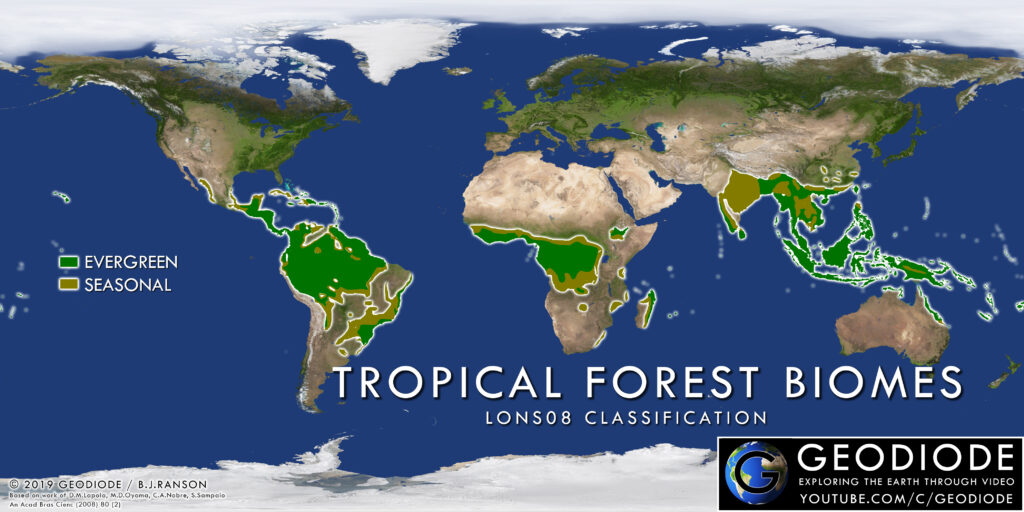 Tropical forests (1) – Digital Agency