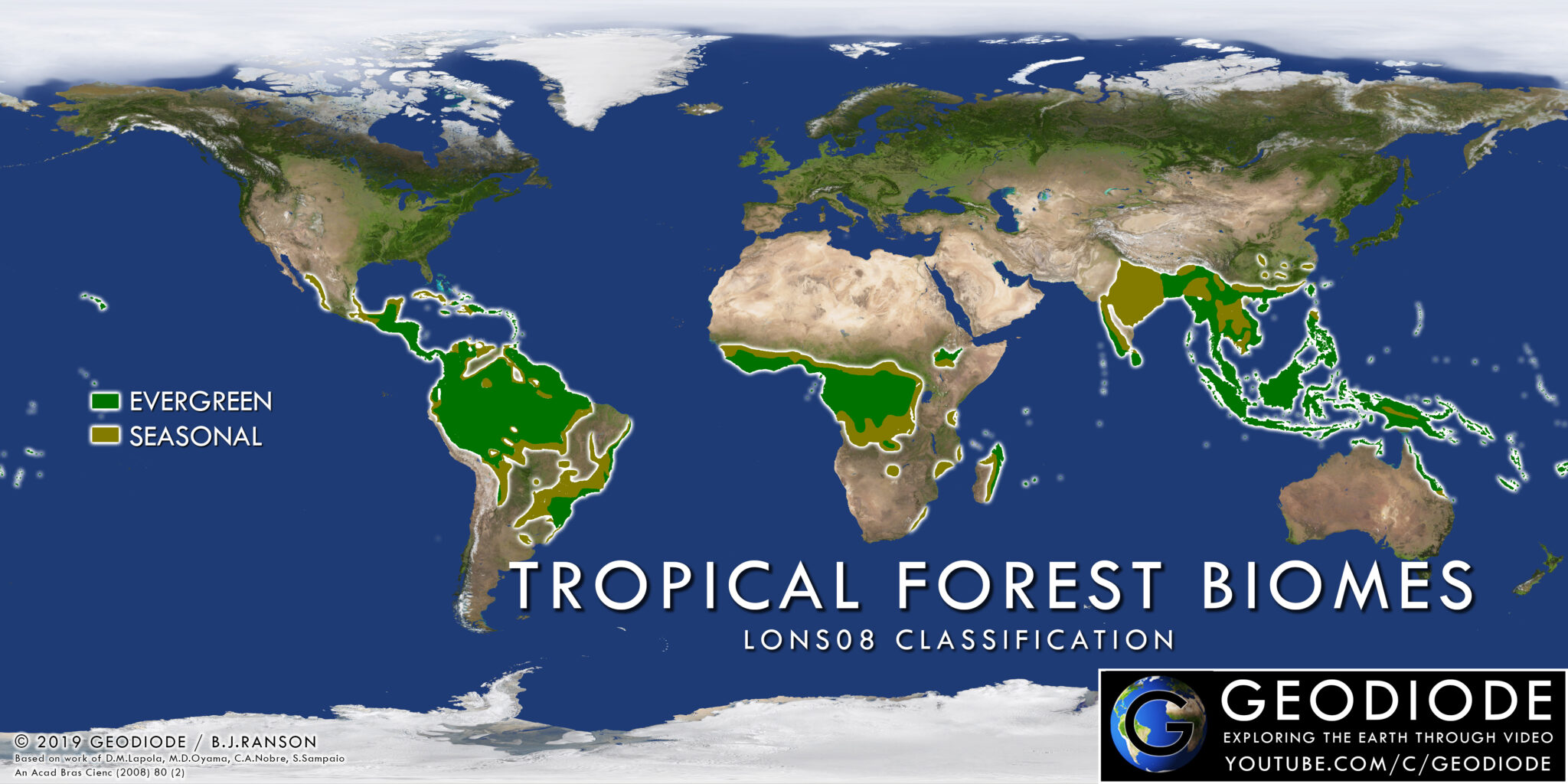 Tropical forests (1) – Digital Agency