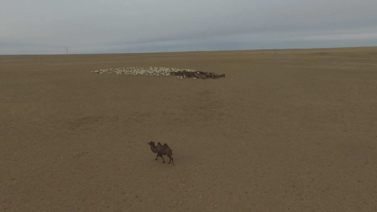 Deserts (4) - Geodiode