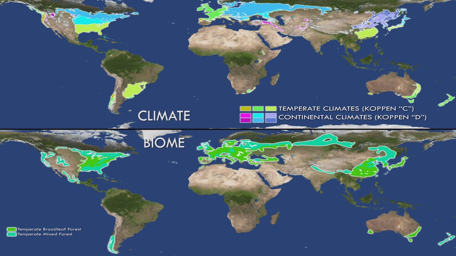 Temperate forests (6) - Geodiode