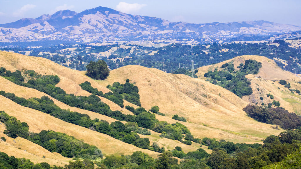 Biomes course – Geodiode